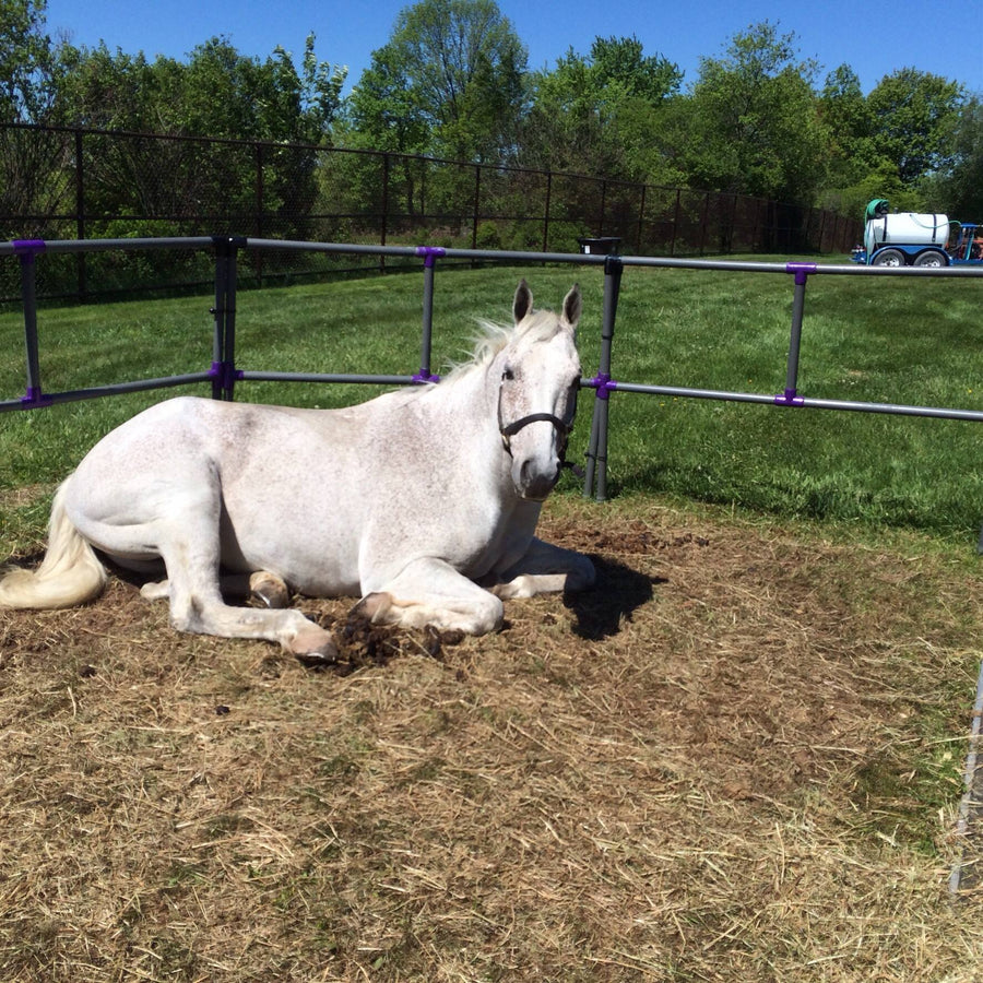 Sale – Camp Corrals