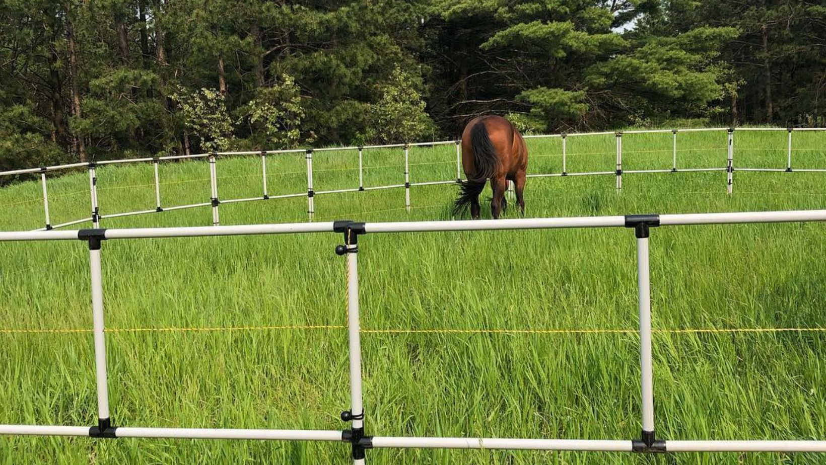 Portable Horse Corral Panels & DIY Horse Fencing – Camp Corrals