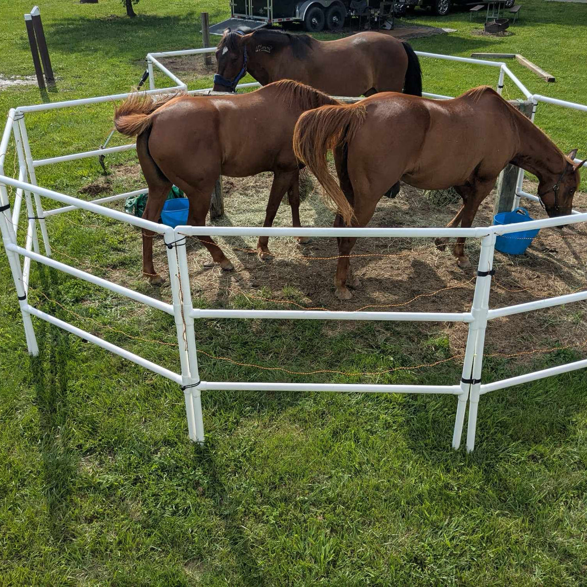 Modular Horse Corral Portable Panel Fencing: (Liberty 14 Panels; 3 Rai ...