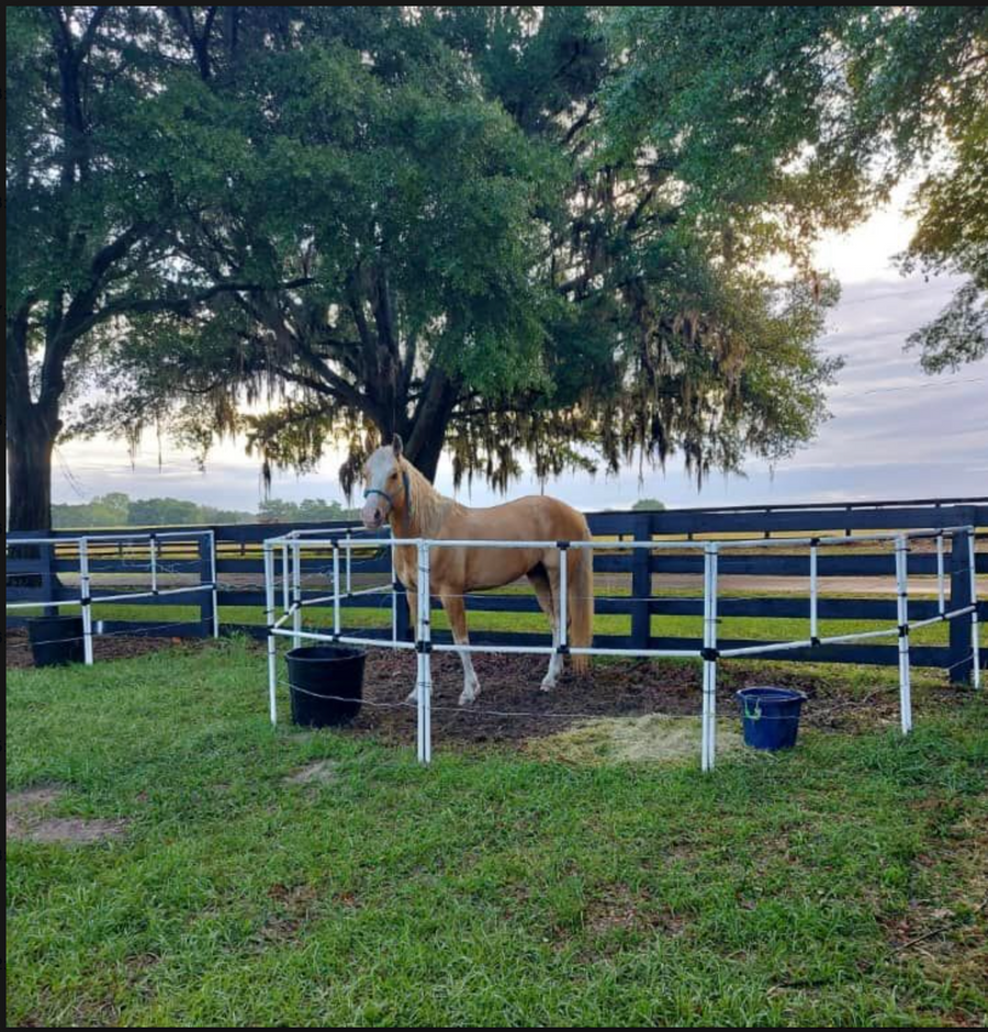 Sale – Camp Corrals