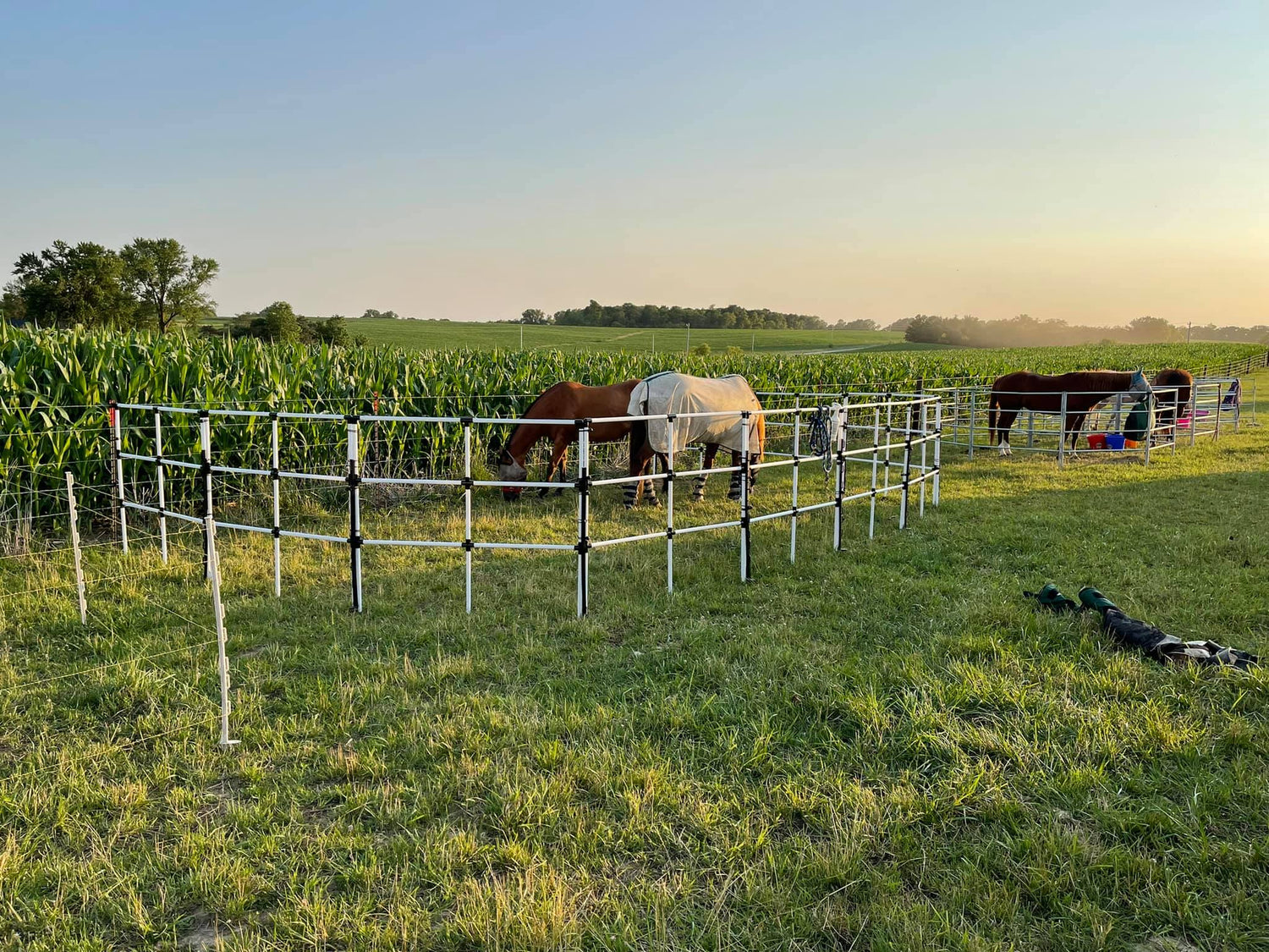 Ready Made Portable Horse Corrals: (EconoLine 10 Panels; 3 Rails ...