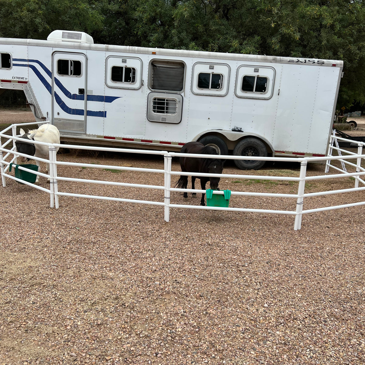 DIY Modular Kit: Mini/Goat Corral (8 Panels; 4 Rails) – Camp Corrals