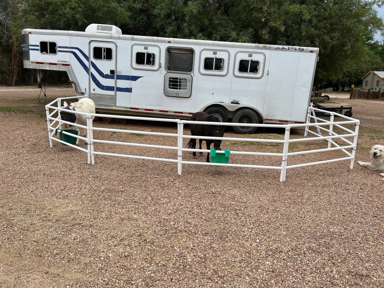 DIY Modular Kit: Mini/Goat Corral (8 Panels; 4 Rails) – Camp Corrals