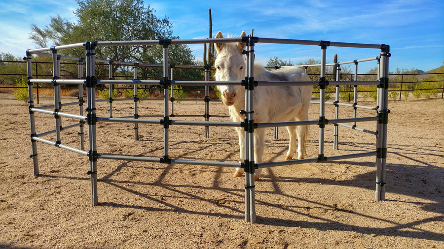 Collections – Camp Corrals