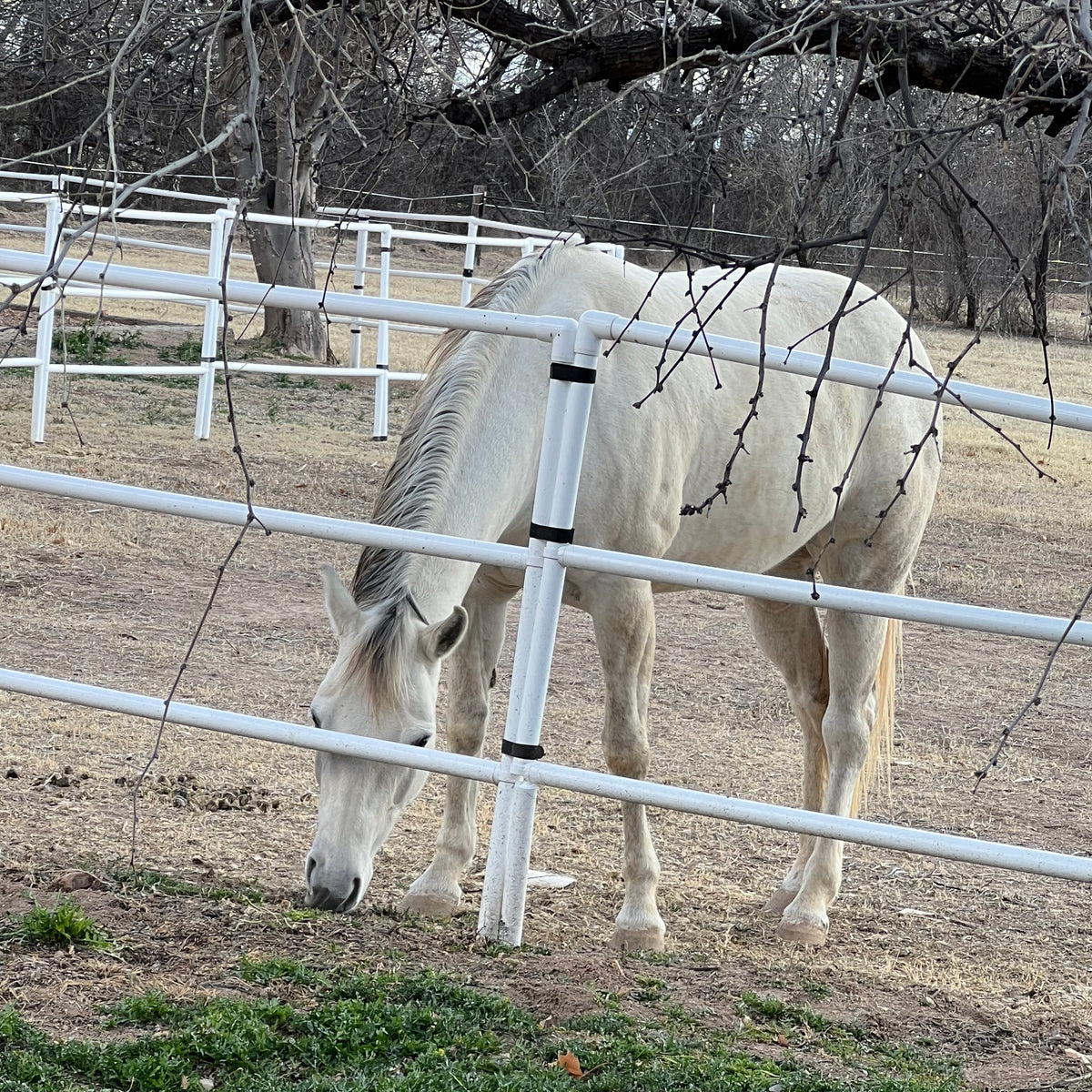 Modular Horse Corral Portable Panel Fencing: (Liberty 12 Panels; 3 Rai ...