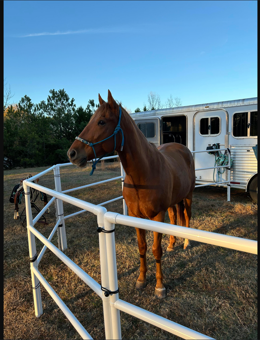 Modular Horse Fences – Camp Corrals