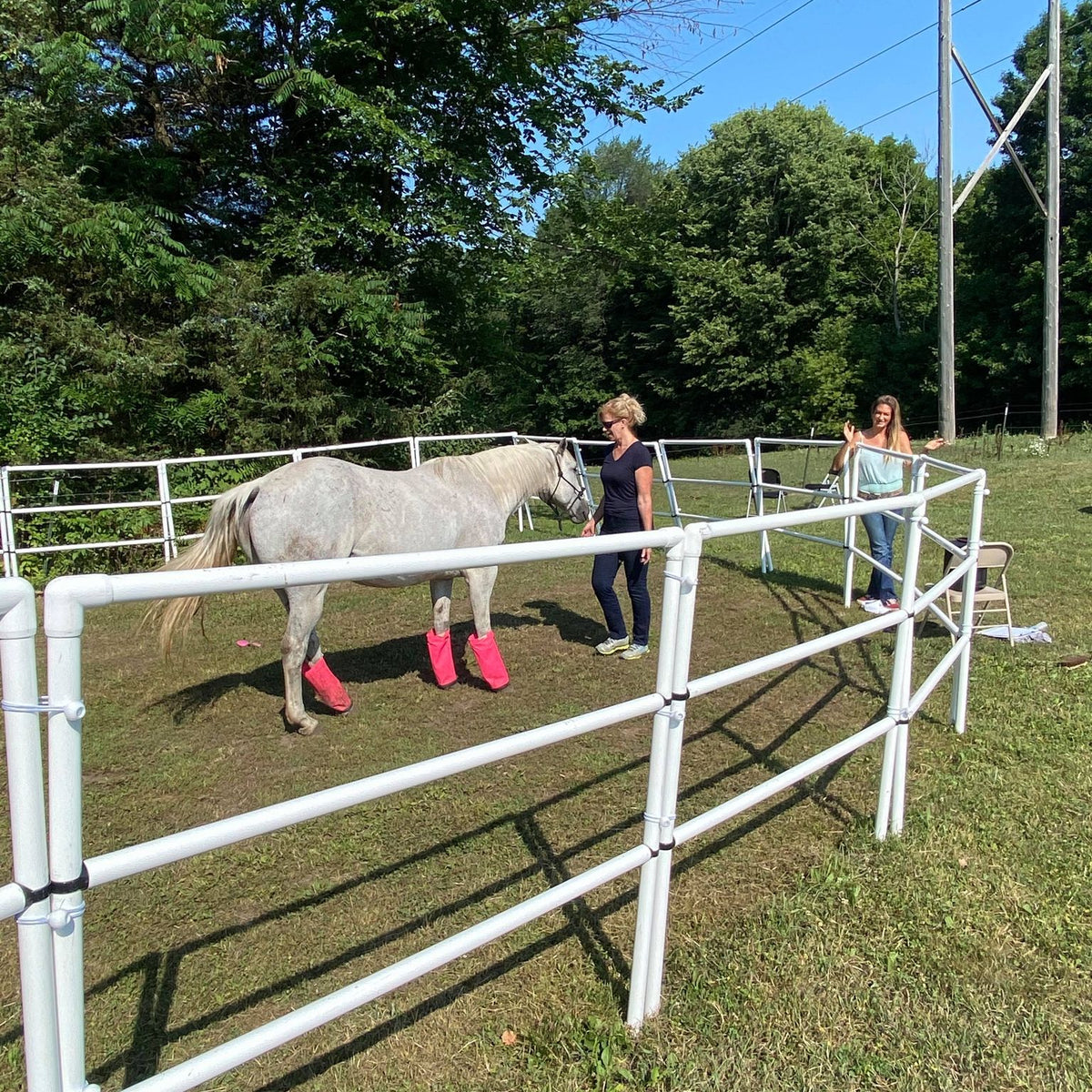 Modular Horse Corral Portable Panel Fencing: (Liberty 24 Panels; 3 Rai ...